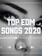 50 Best EDM Songs 2023 - YourMusicCharts