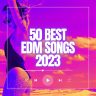 50 Best EDM Songs 2023 - YourMusicCharts
